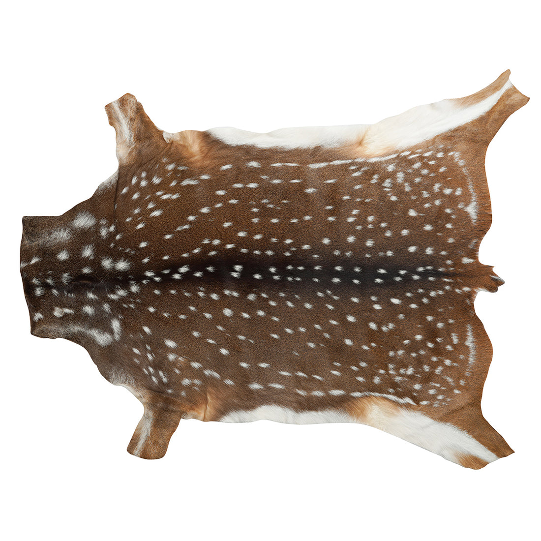 Axis Deer Hides